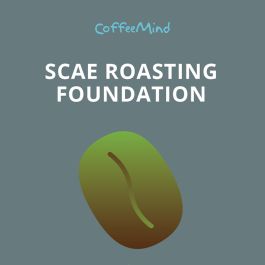 SCAE Roasting Foundation